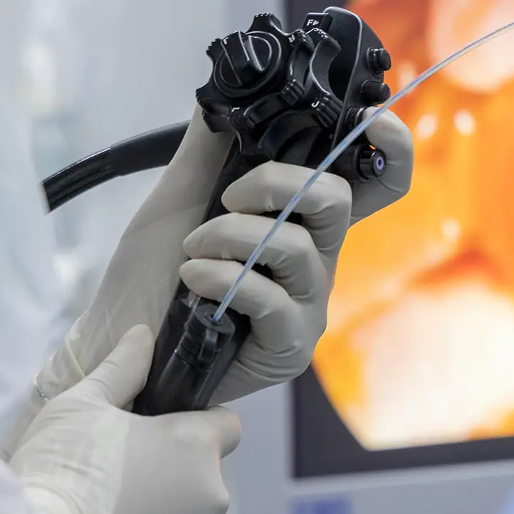 Endoscopia digestiva - ICAdig